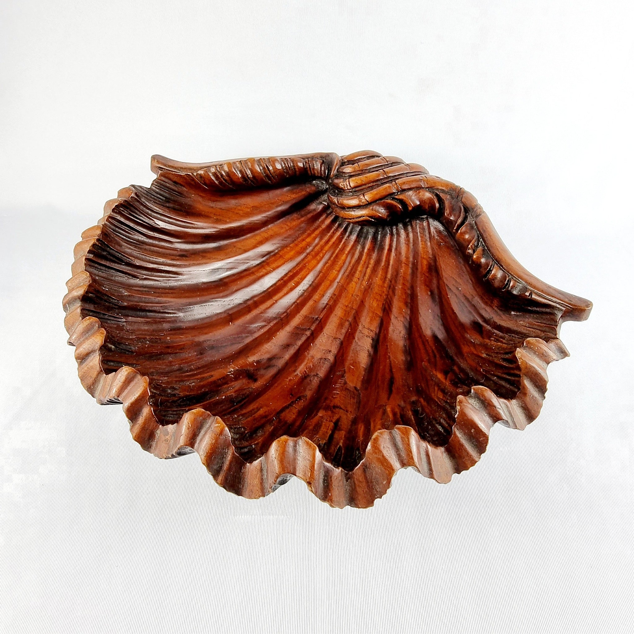 Carved Mahogany Clam Shell