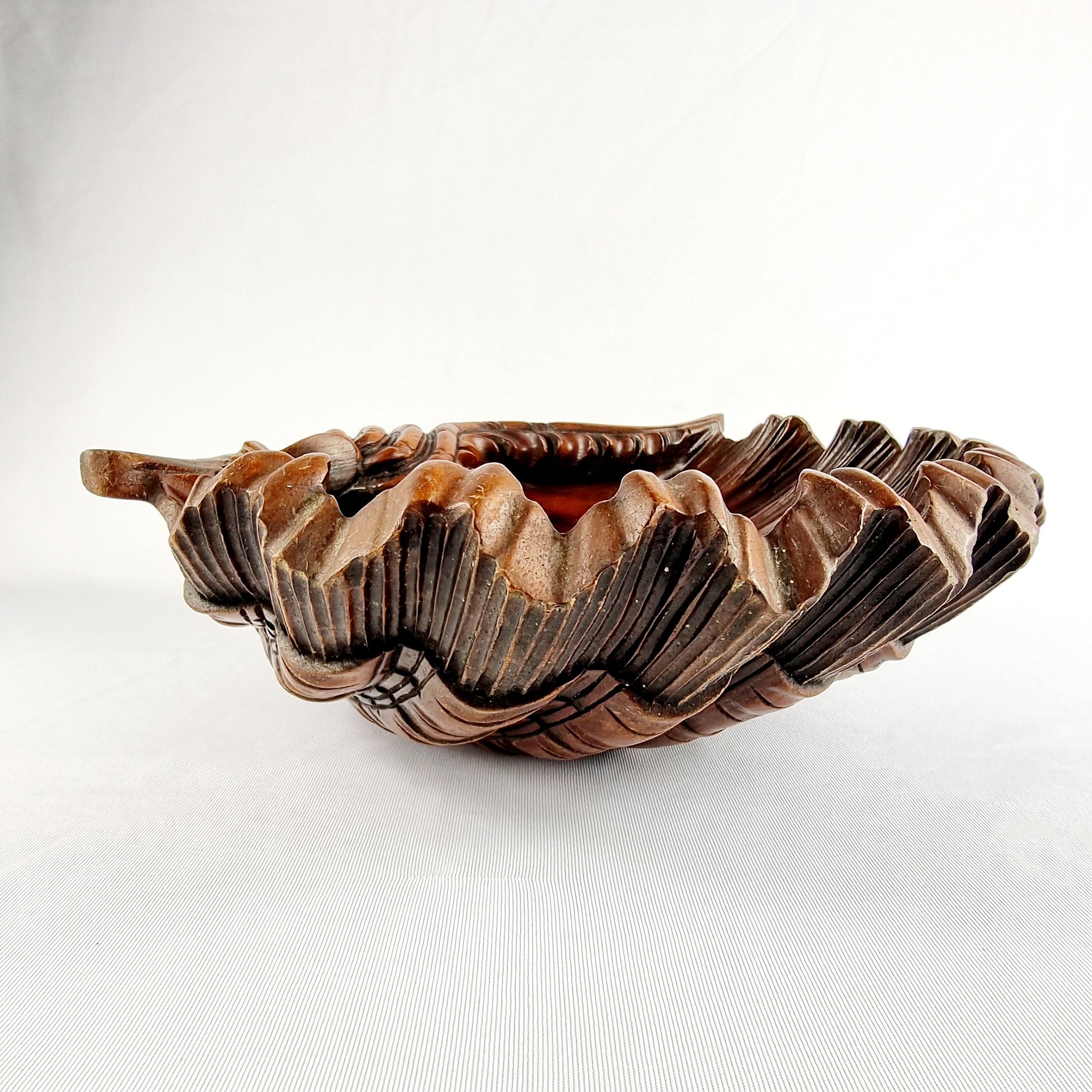 Carved Mahogany Clam Shell